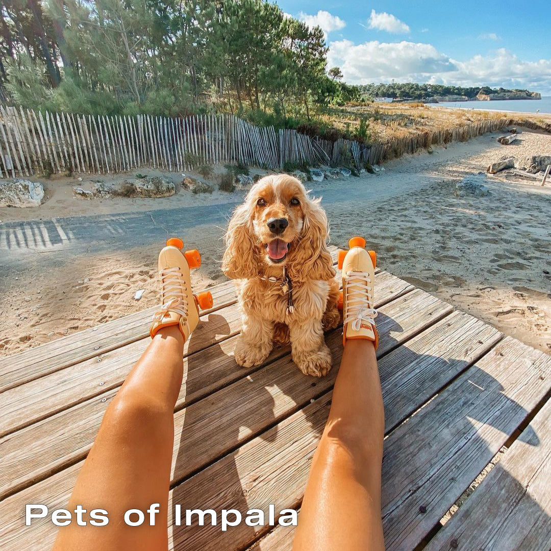 Pets of Impala 🐶 – Impala Skate